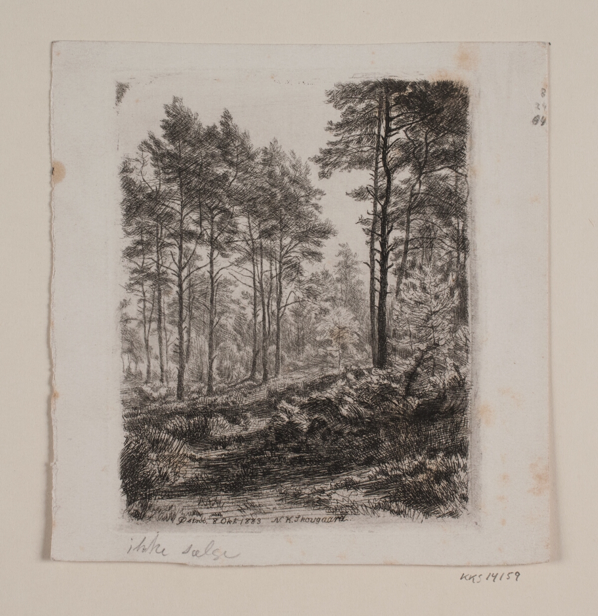 Fyrreskoven, 1883, Niels Skovgaard | SMK Open