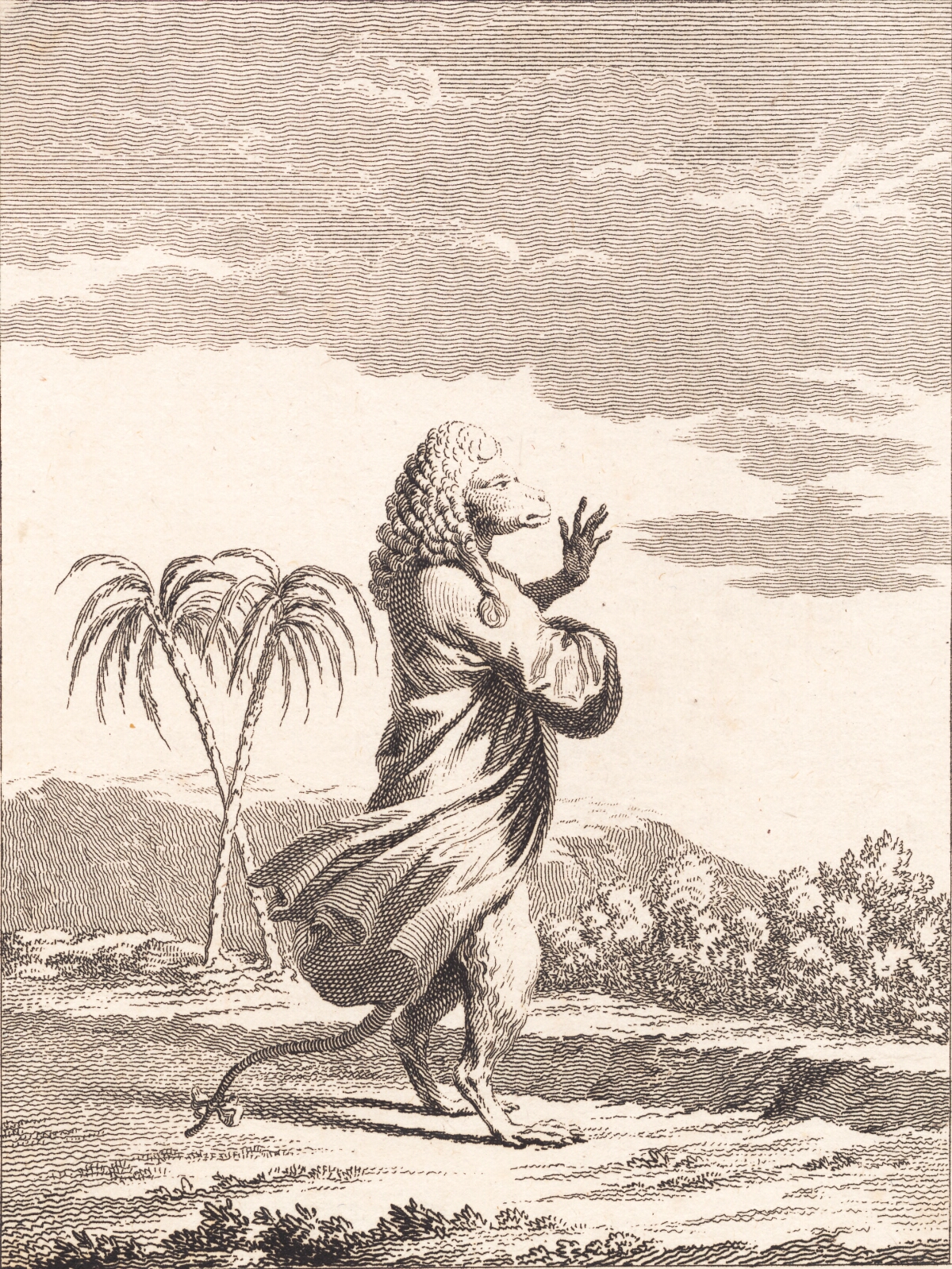 En martiniansk abekat, 1786 – 1788, J.F. Clemens, Nicolai Abildgaard ...