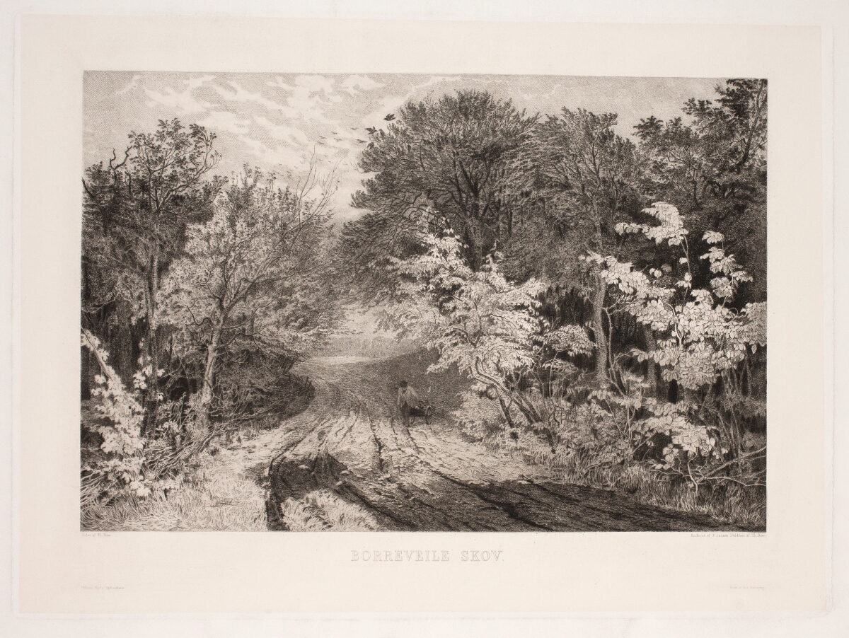 Borrevejle Skov, 1842 – 1905, F. Larsen, Thorvald Niss, Thorvald Niss ...