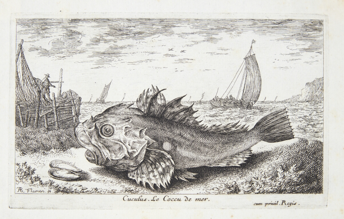 Knurhane (Cuculus), 1620 – 1669, Albert Flamen | SMK Open